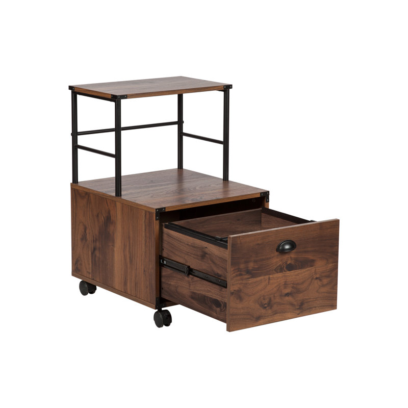 Laurel Foundry Modern Farmhouse® Wycombe 1-Drawer Mobile Vertical Filing Cabinet & Reviews | Wayfair